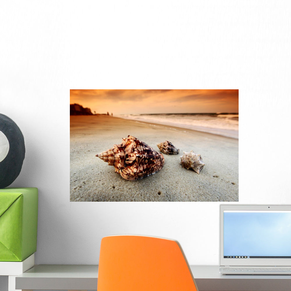 Shell Wall Mural – Wallmonkeys