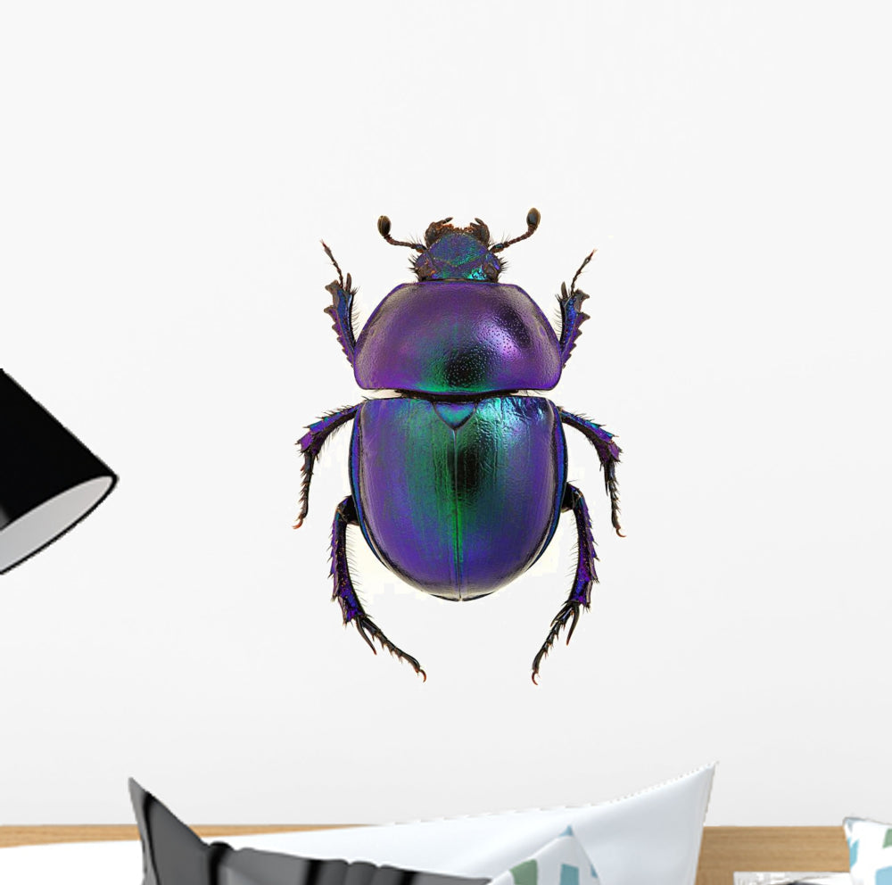 Purple Scarab Beetle Wall Decal – Wallmonkeys