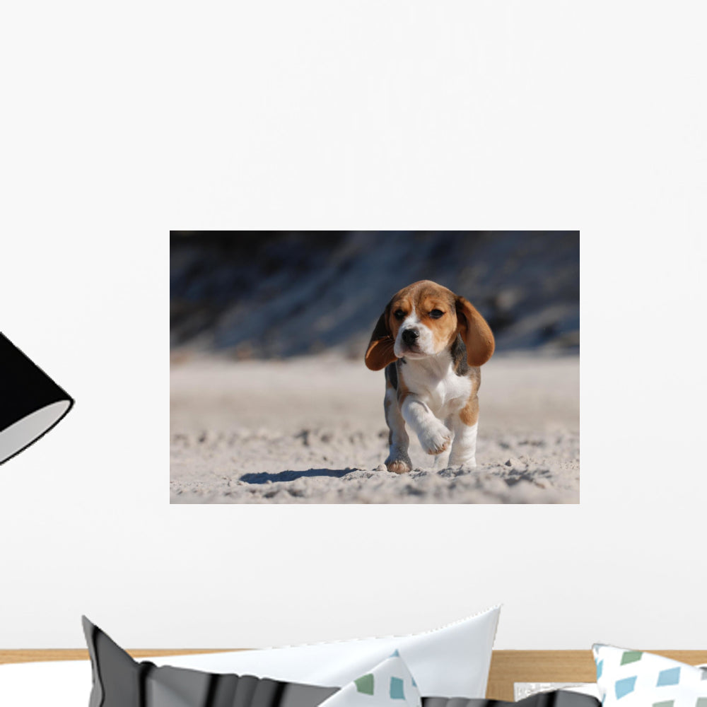 Beagle Puppy Wall Mural – Wallmonkeys