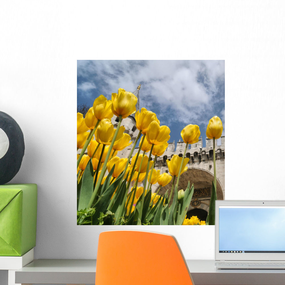 Tulips and Topkapi Palace – Wallmonkeys