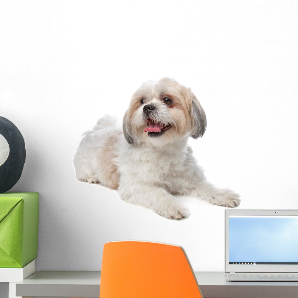 Shih Tzu Wall Decal – Wallmonkeys