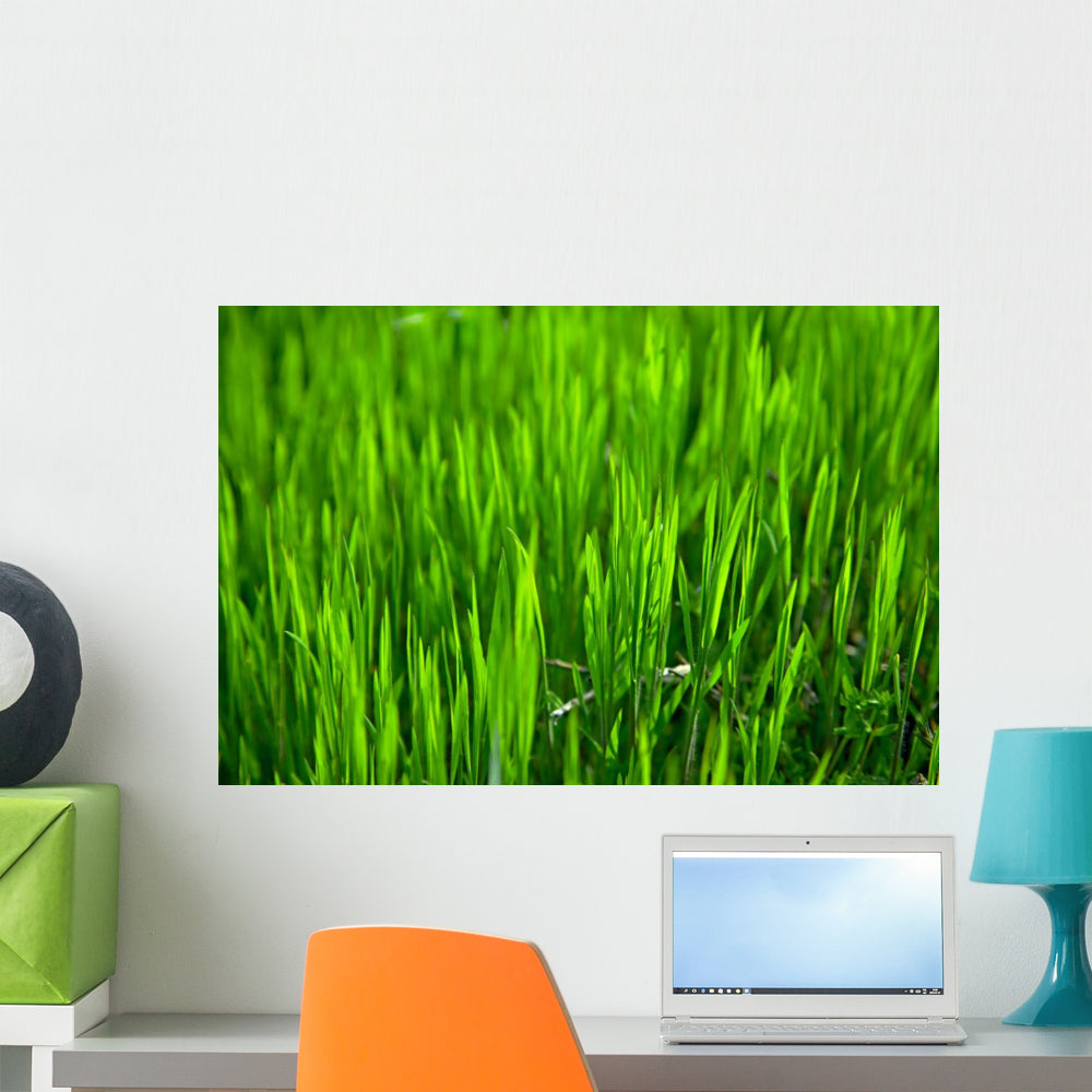 Grass Wall Mural – Wallmonkeys