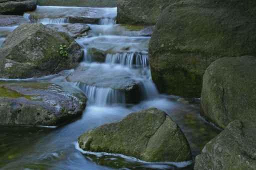 Bach Wall Decal - WallMonkeys.com – Wallmonkeys