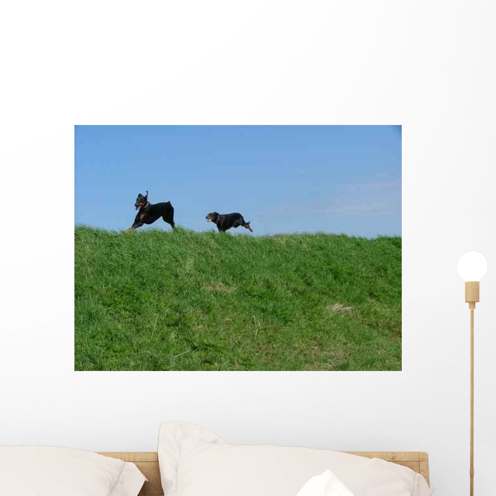 Freedom Wall Decal - WallMonkeys.com – Wallmonkeys