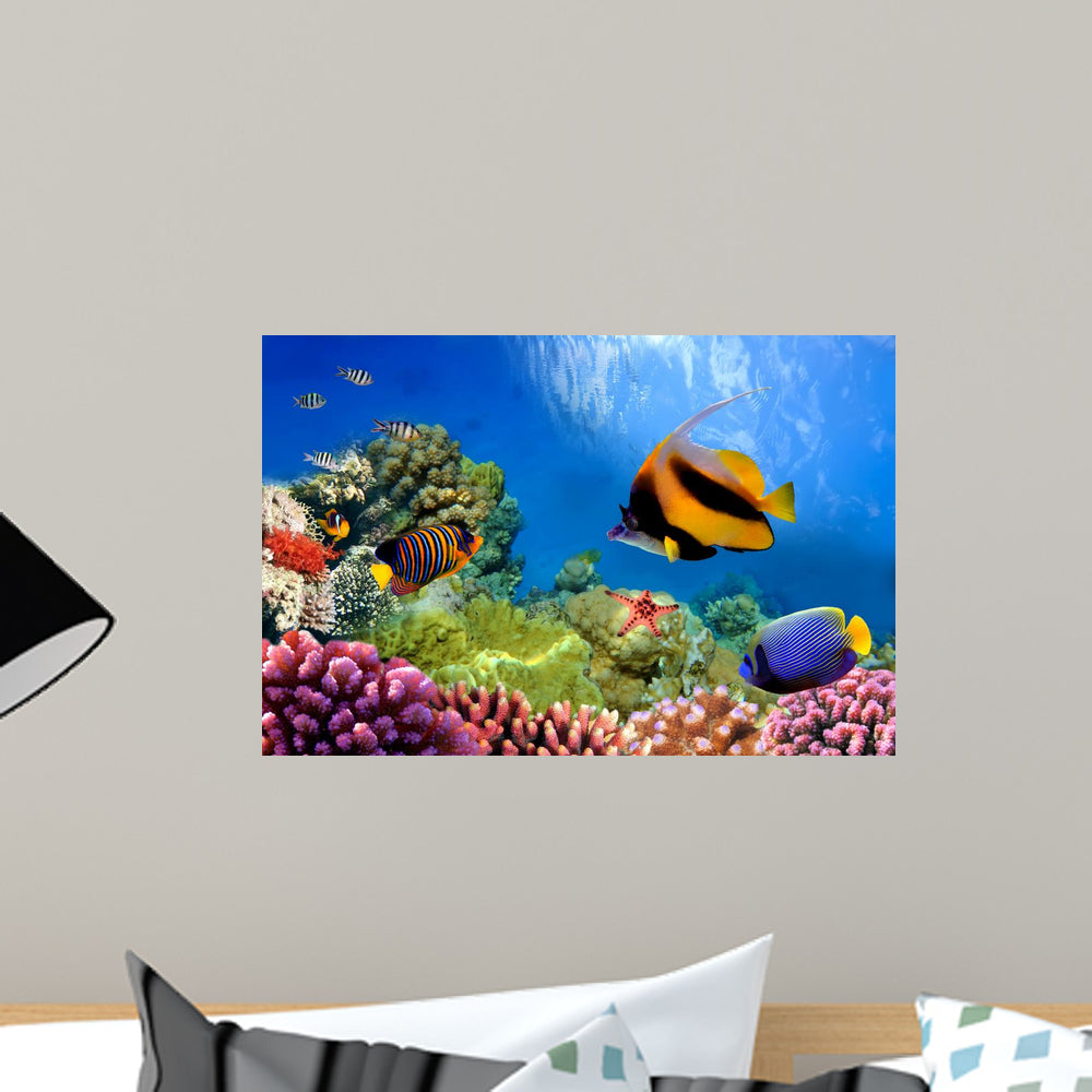 Marine Life Coral Reef Wall Mural – Wallmonkeys