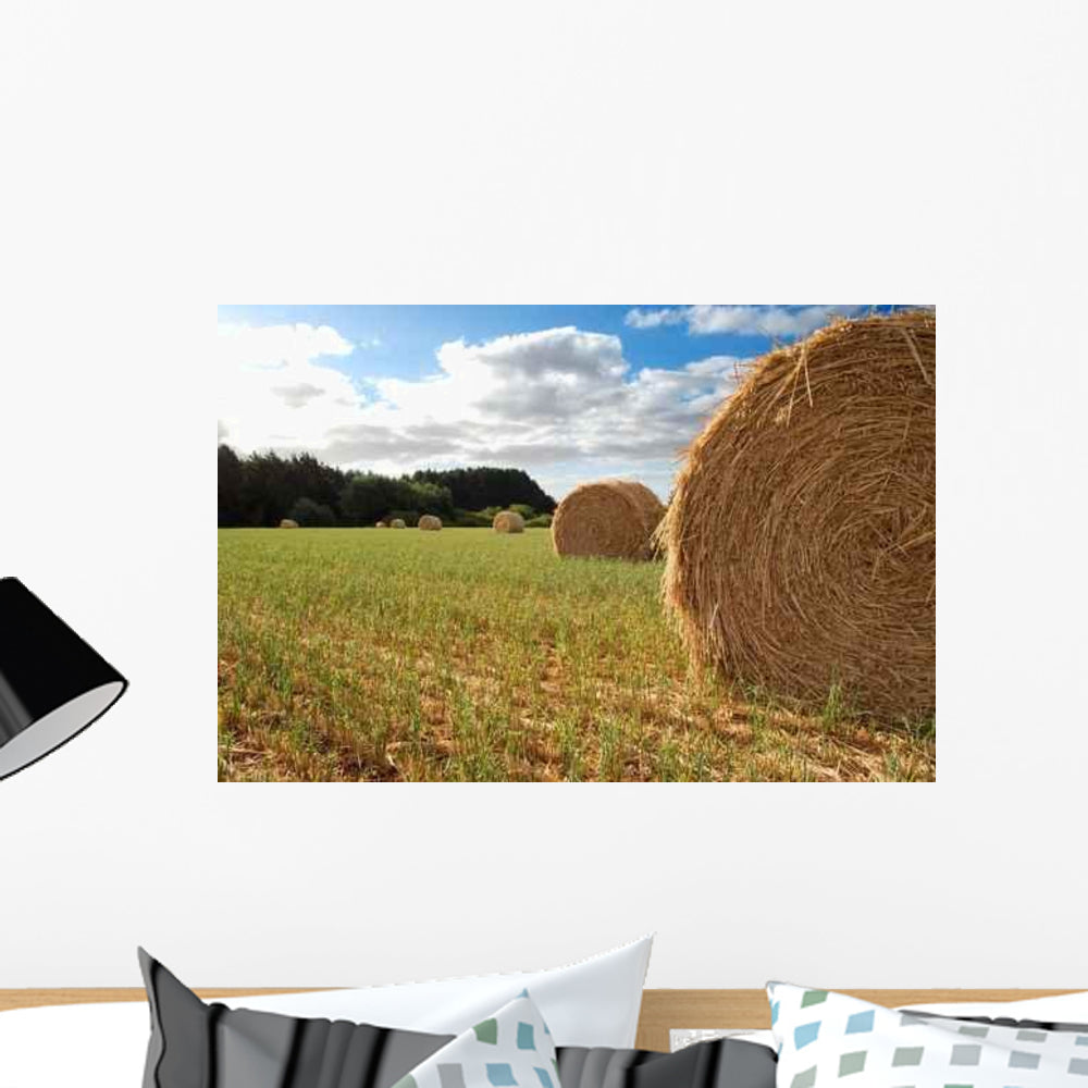 Hay Bale Wall Decal - WallMonkeys.com – Wallmonkeys