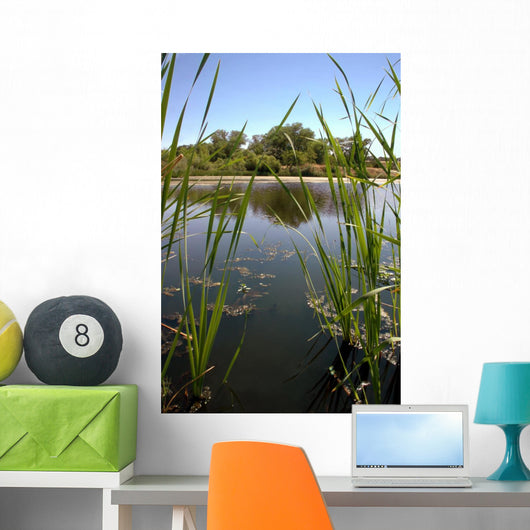 Riparian Pond Reflection Wall Decal - WallMonkeys.com – Wallmonkeys