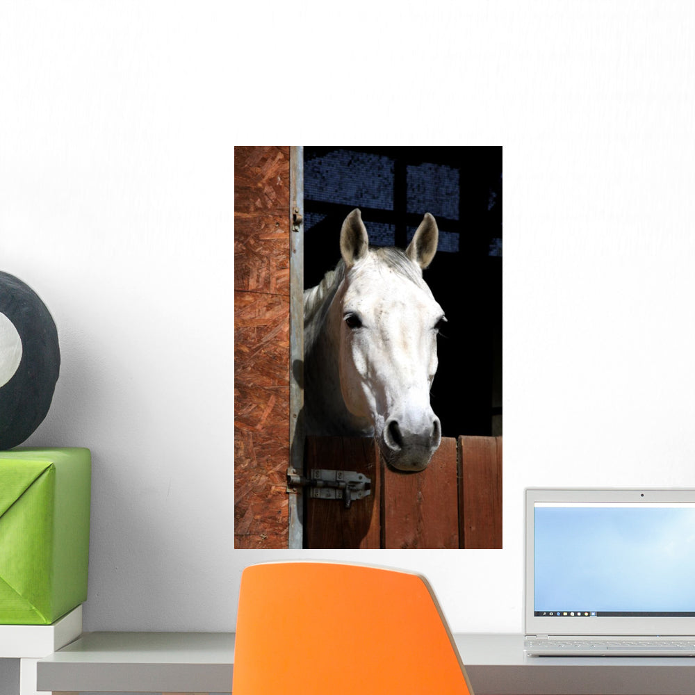 Horse Stable Wall Decal - WallMonkeys.com – Wallmonkeys