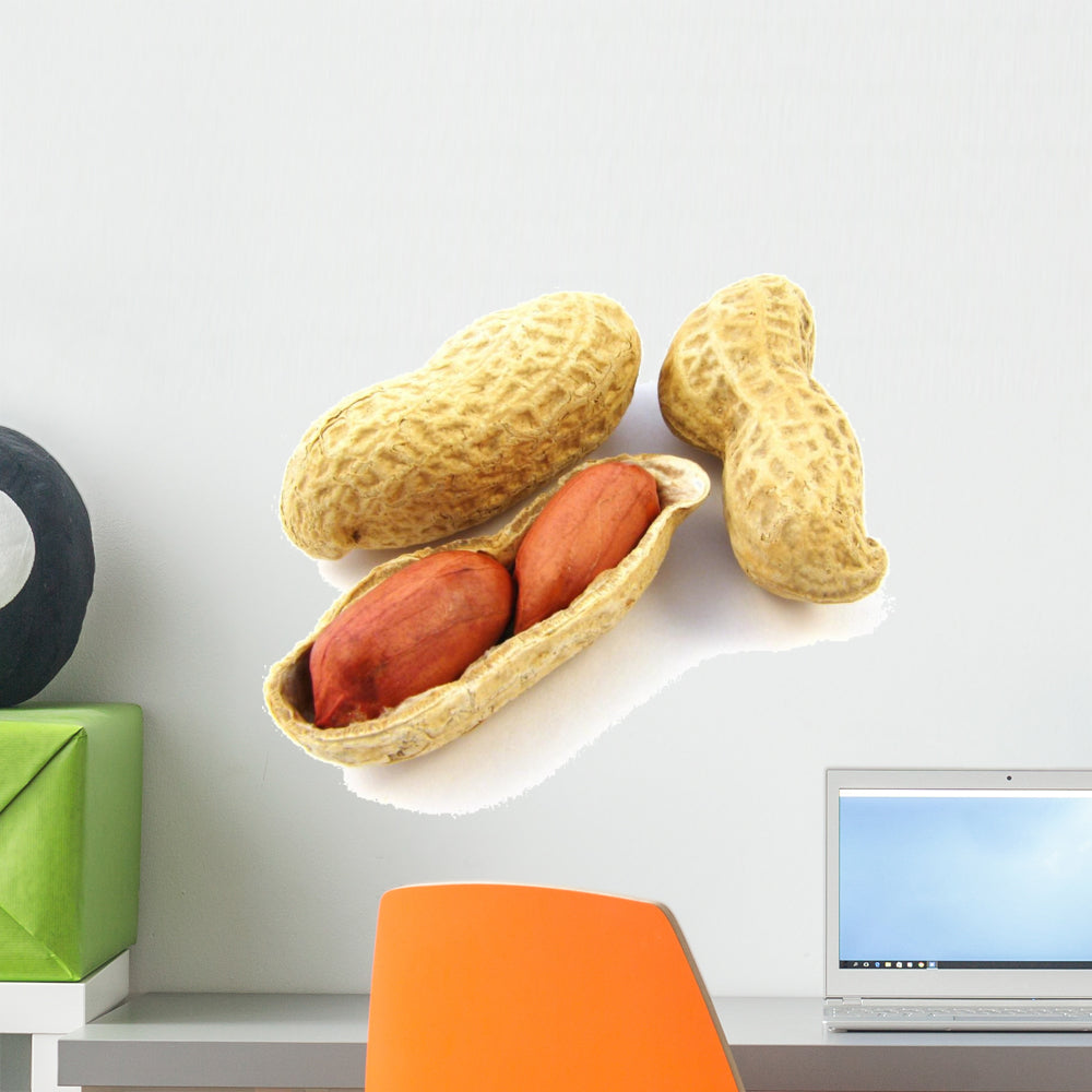 Peanuts Wall Decal – Wallmonkeys