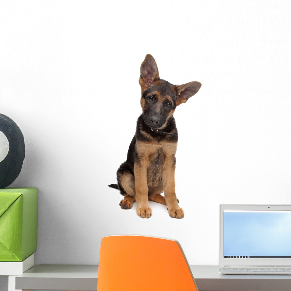 German Shepherd Puppy Wall Decal – Wallmonkeys