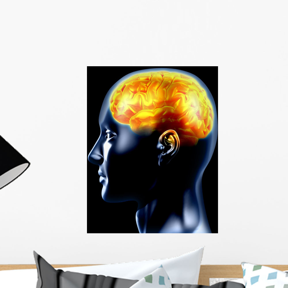 Brain Wall Mural – Wallmonkeys