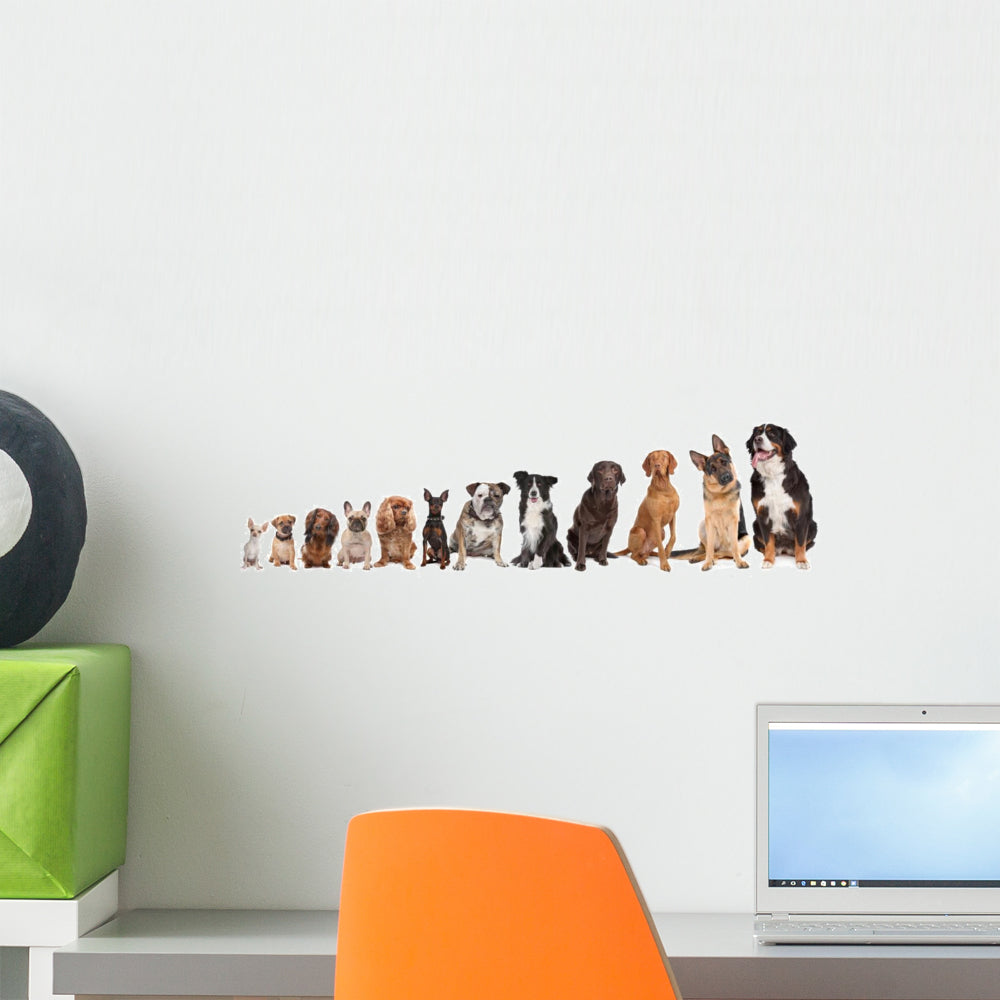 Twelve Dogs Row – Wallmonkeys