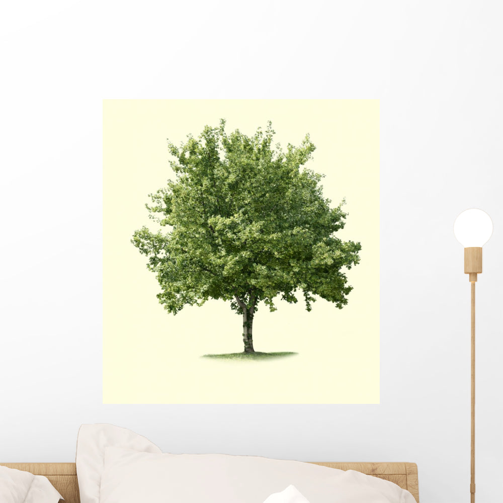 Maple Tree – Wallmonkeys