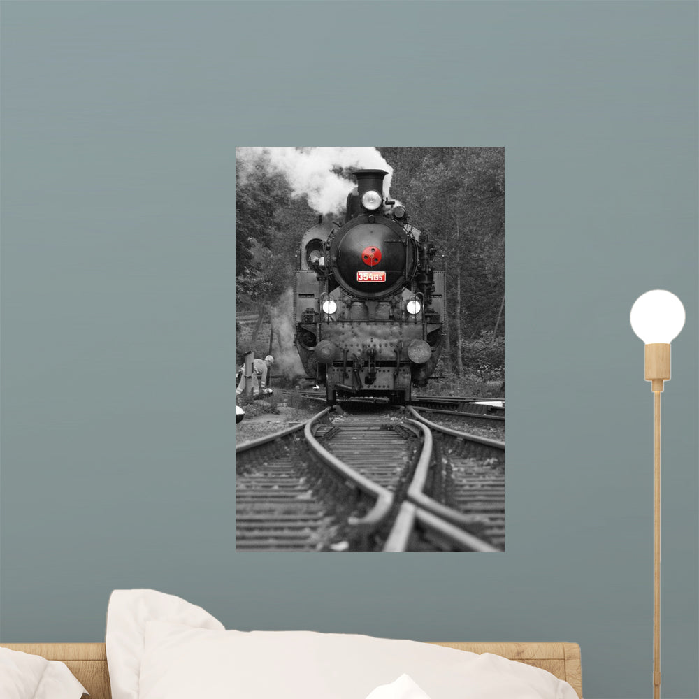 Steam-engine Wall Decal - WallMonkeys.com – Wallmonkeys