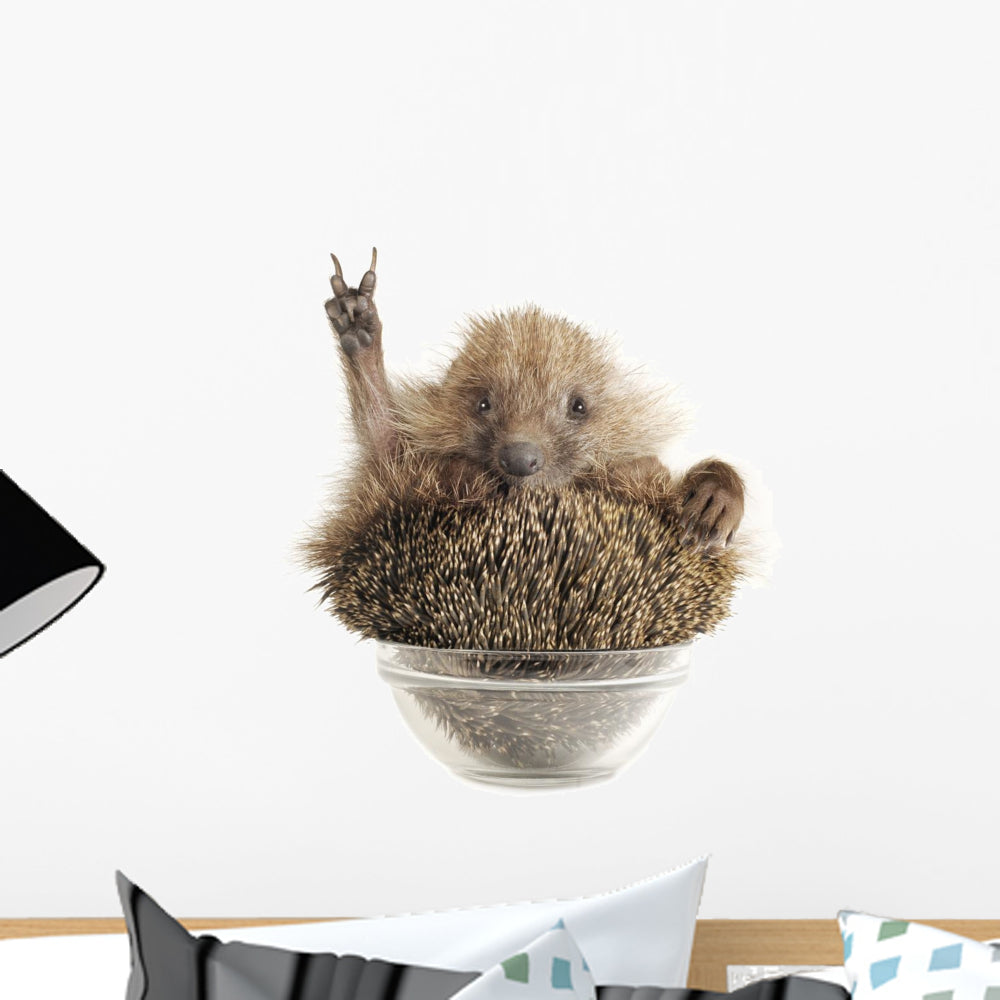 Hedgehog – Wallmonkeys