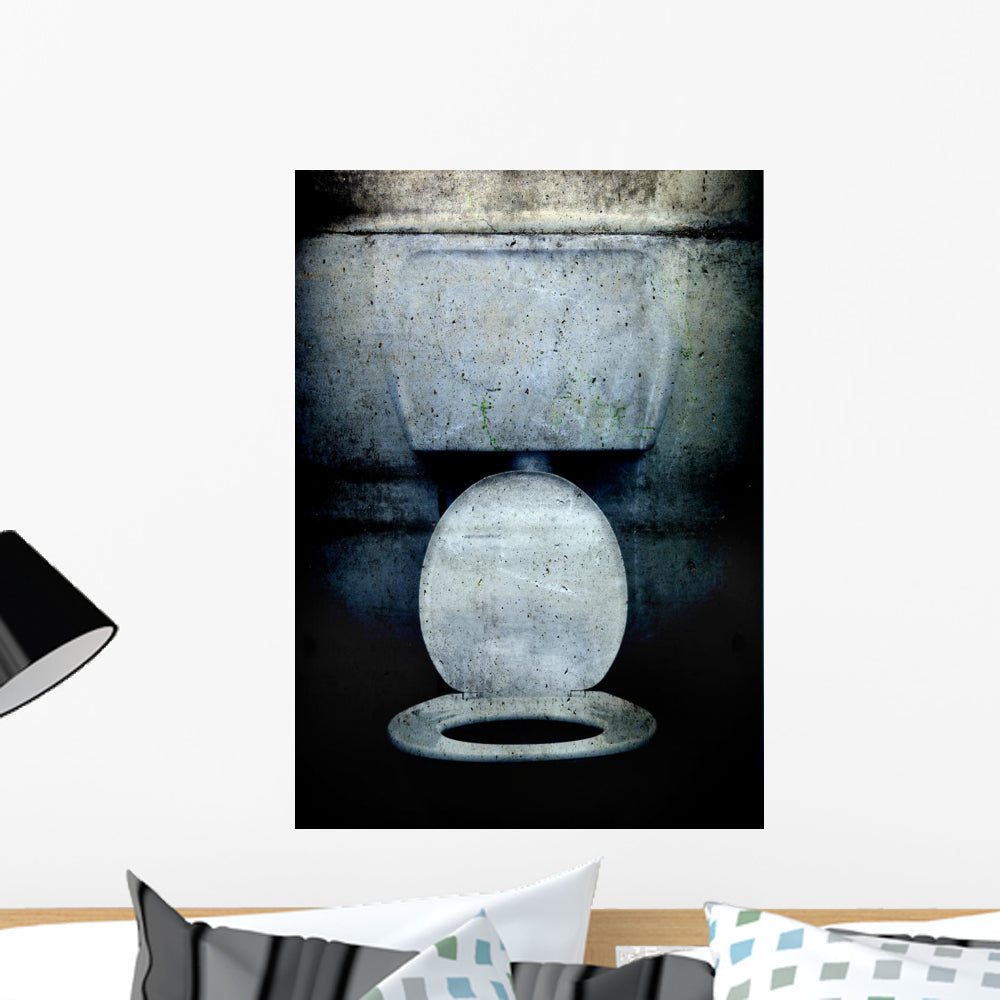 Grunge Toilet Wall Mural – Wallmonkeys