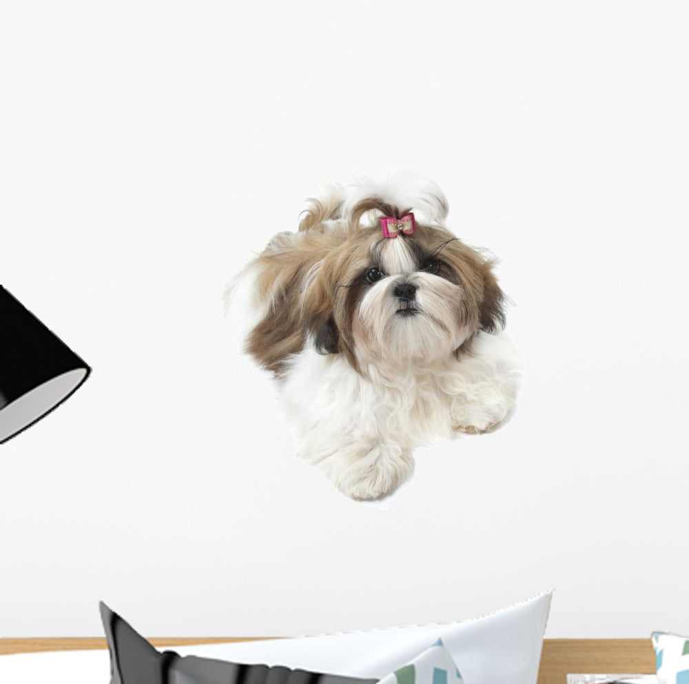 Very Pretty Shih Tzu Wall Decal - WallMonkeys.com – Wallmonkeys