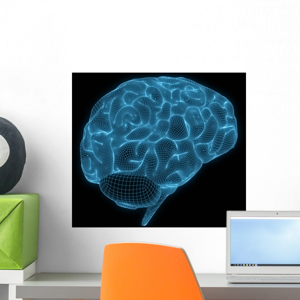 Wireframe Brain Wall Decal - WallMonkeys.com – Wallmonkeys