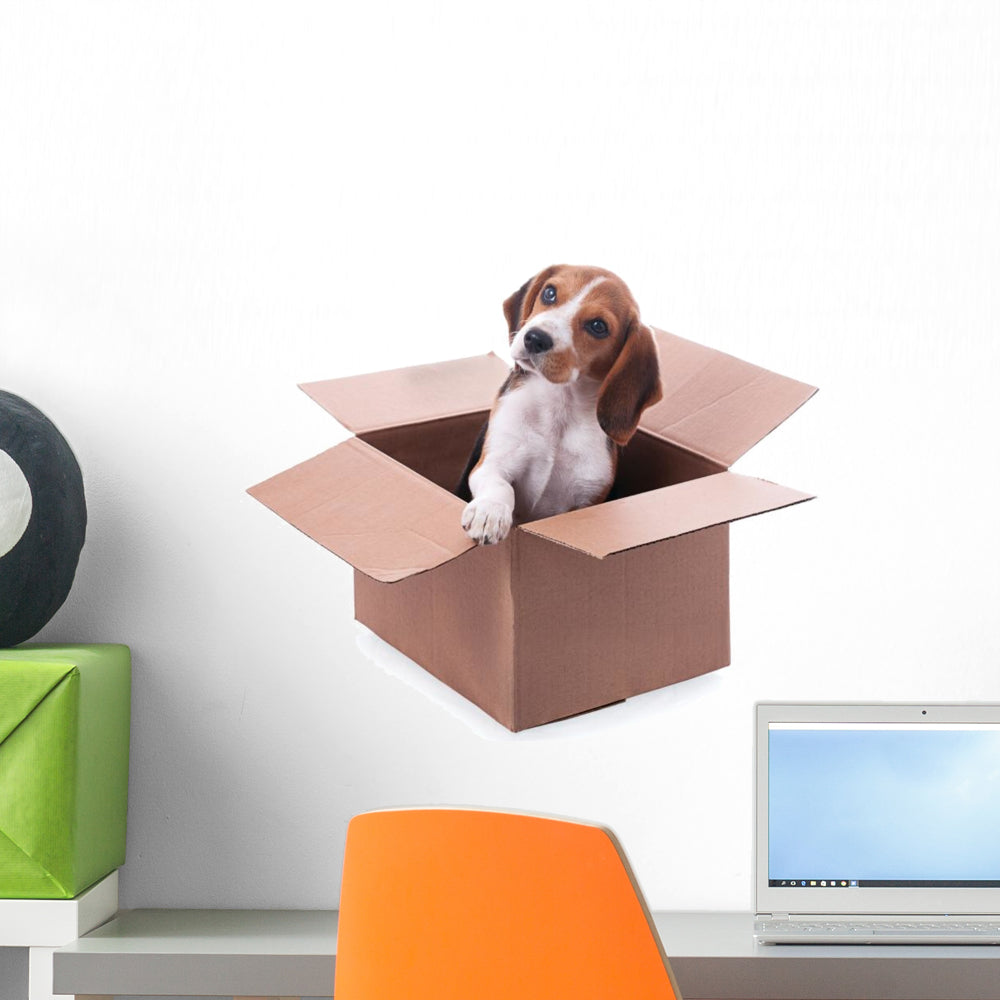 Beagle Puppy Box Wall Decal - WallMonkeys.com – Wallmonkeys