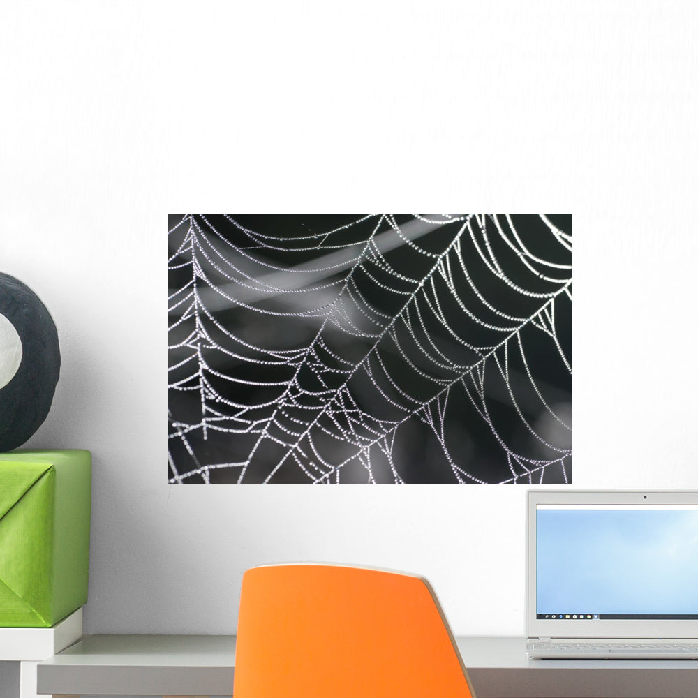 Spider Web Wall Decal - WallMonkeys.com – Wallmonkeys