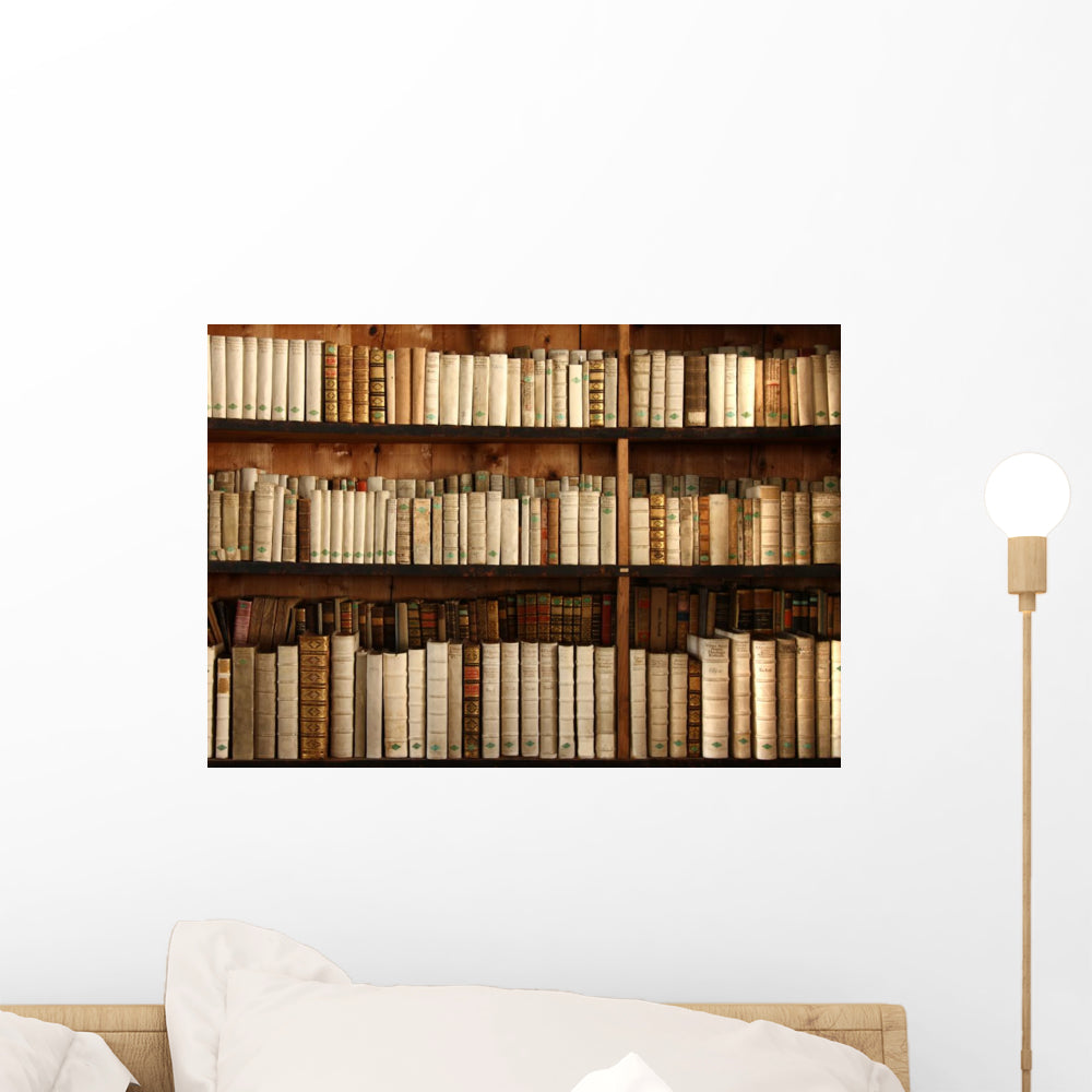 Bookcase with Old Books Wall Decal - WallMonkeys.com – Wallmonkeys