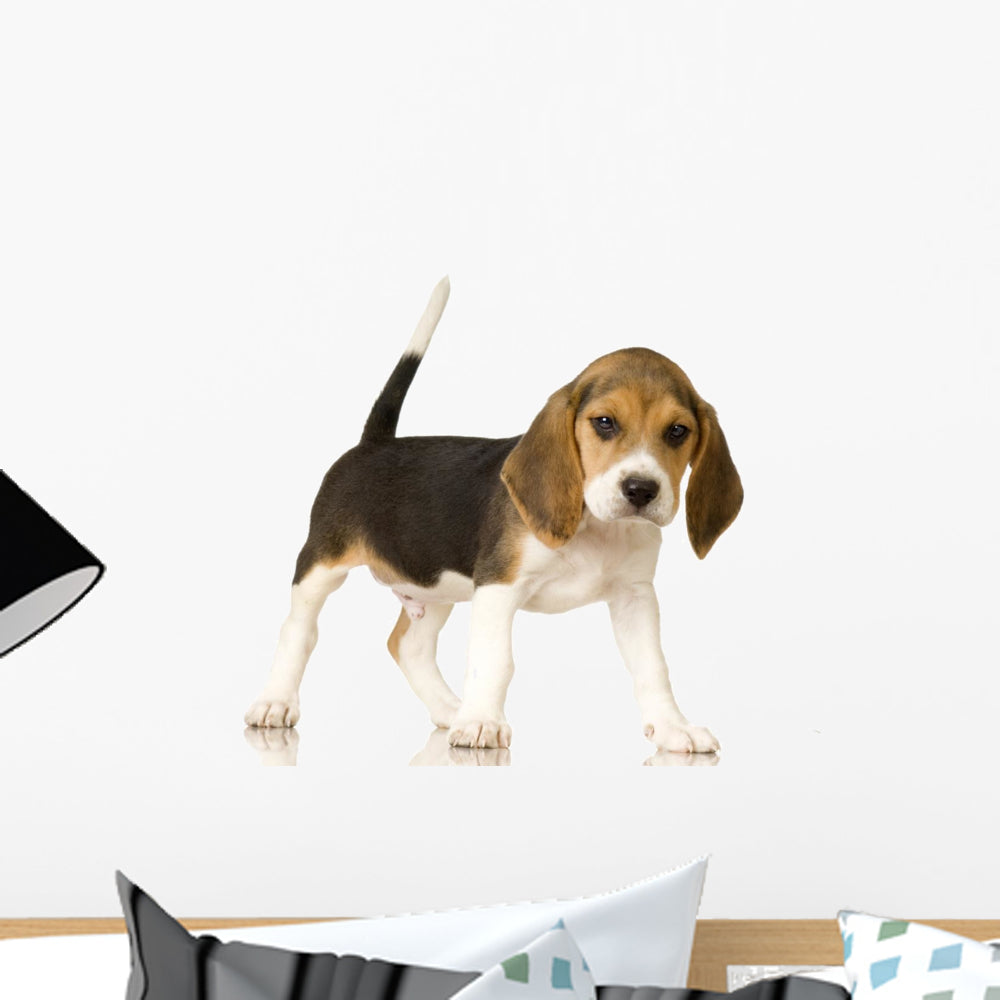 Beagle Puppy Wall Decal - WallMonkeys.com – Wallmonkeys