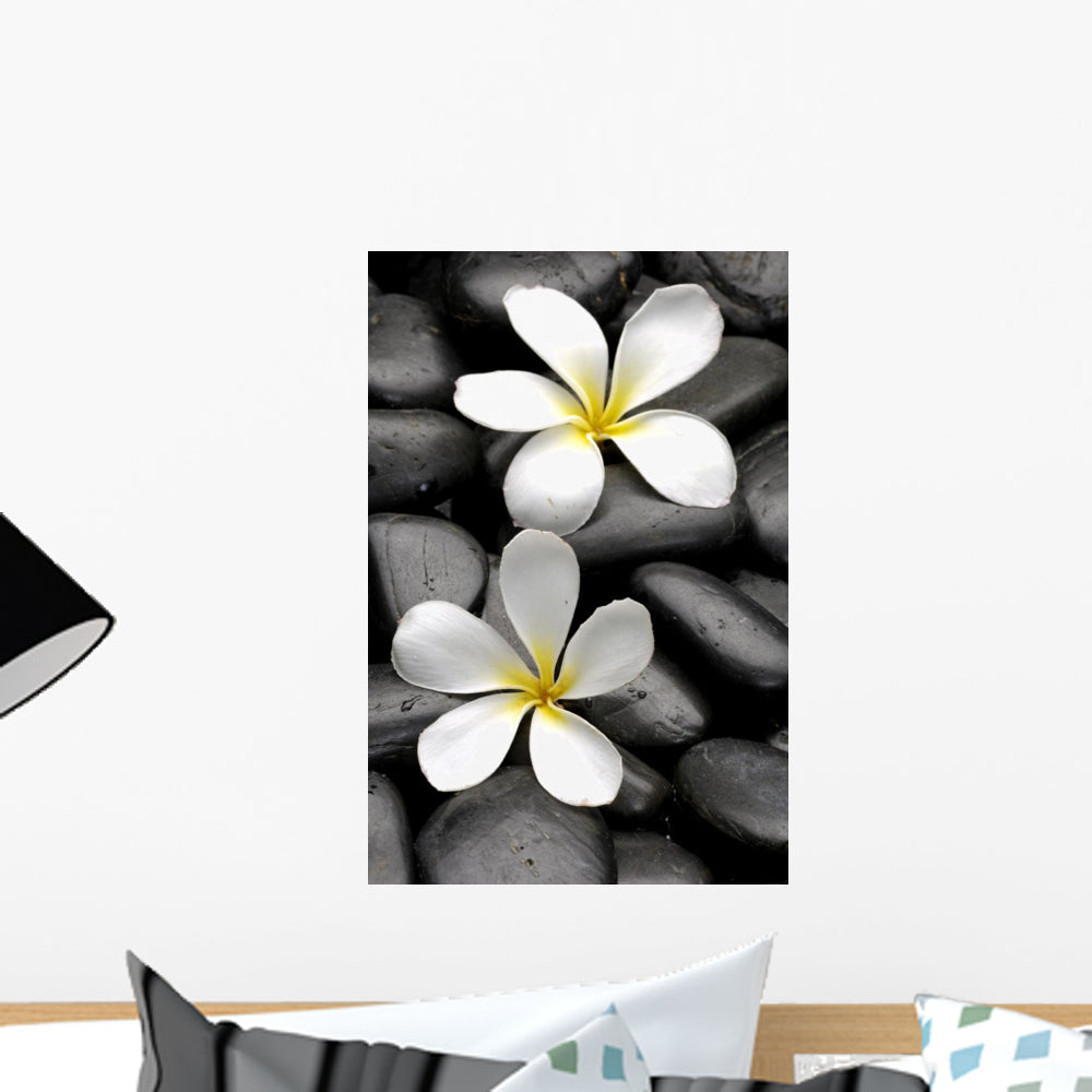 Two Frangipani Flowers And Stones Wall Decal - WallMonkeys.com ...