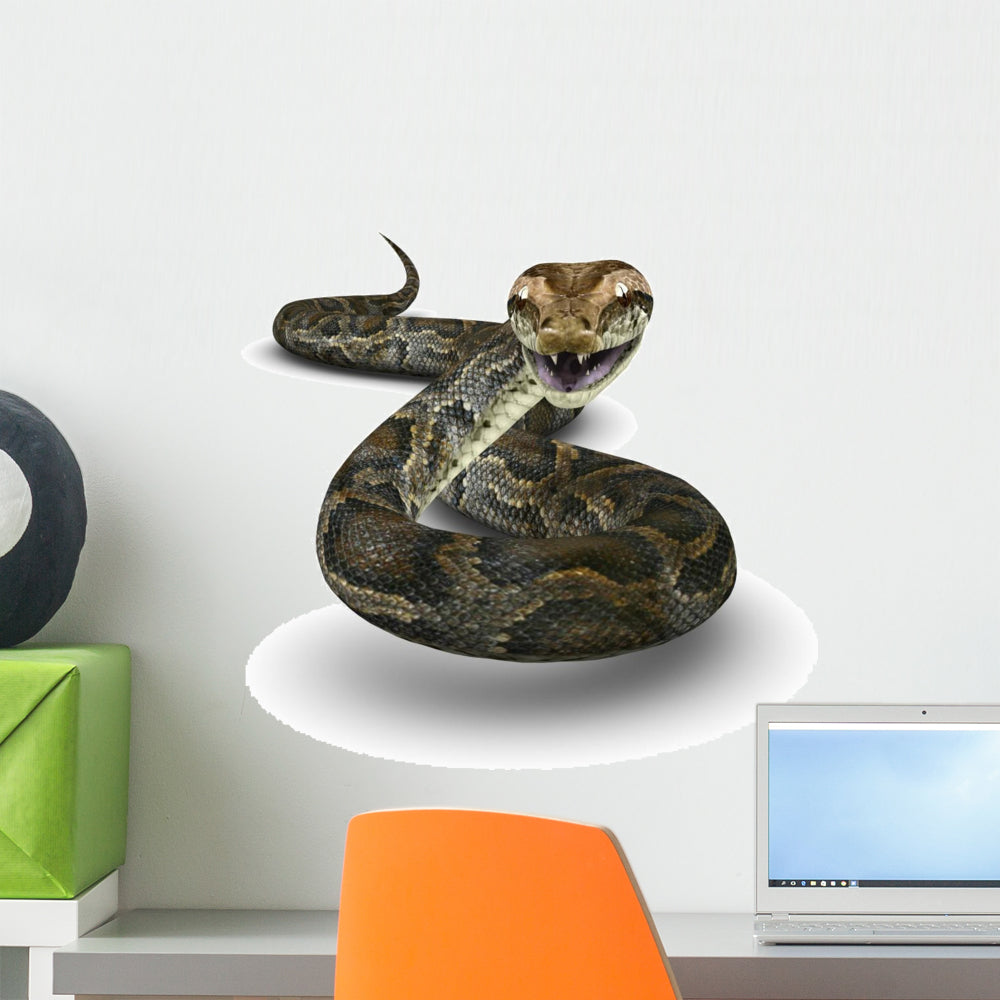 Python Wall Decal - WallMonkeys.com – Wallmonkeys