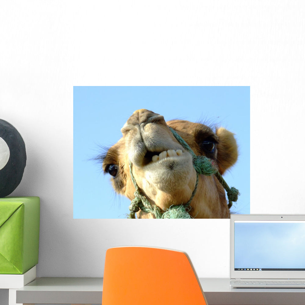 Tangier 95 Wall Decal - WallMonkeys.com – Wallmonkeys