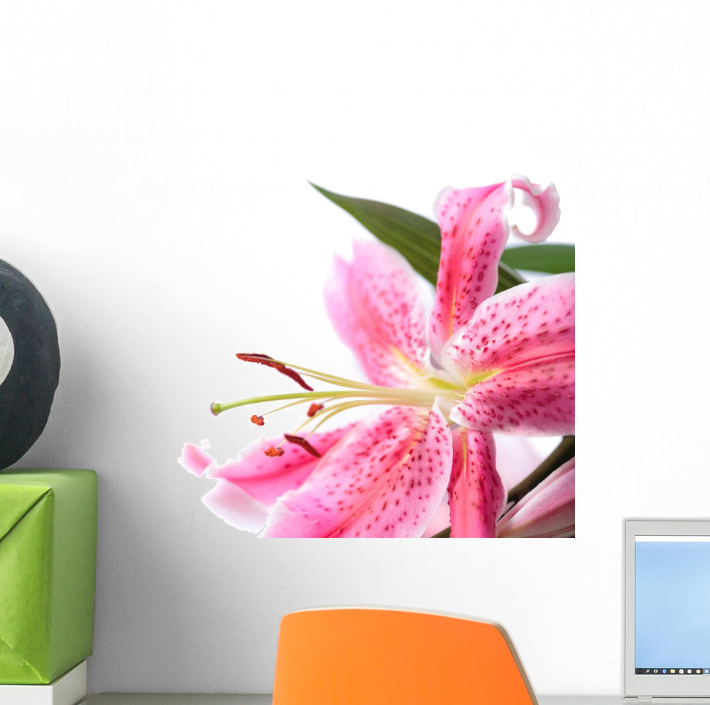 Stargazer Lily Wall Decal - WallMonkeys.com – Wallmonkeys