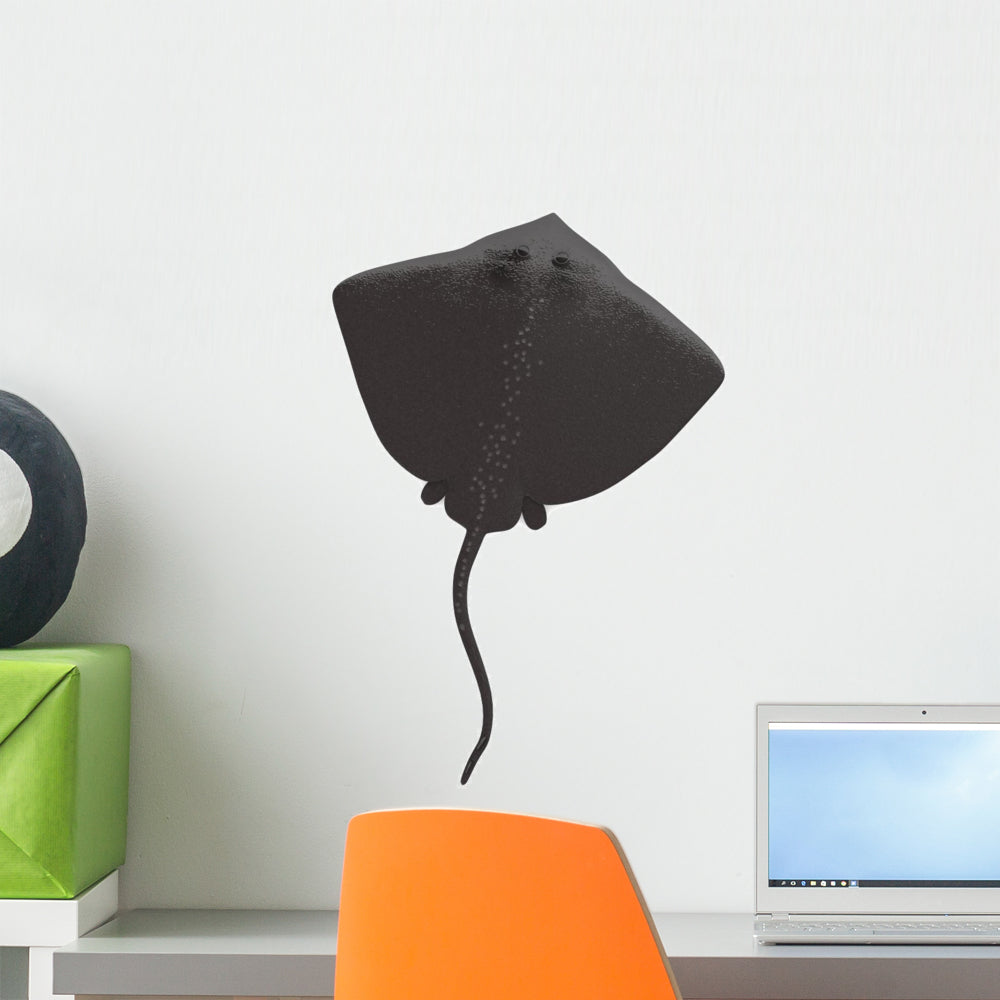 Above Stingray Wall Decal – Wallmonkeys