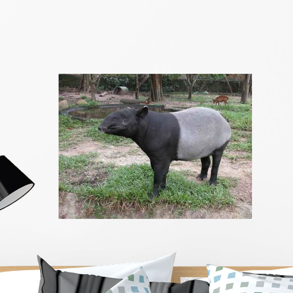 Malayan Tapir Wall Decal - WallMonkeys.com – Wallmonkeys