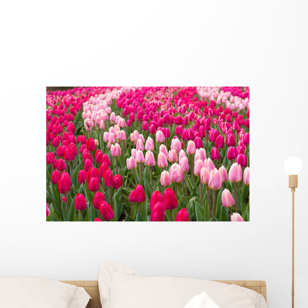 Field Tulips Wall Mural – Wallmonkeys