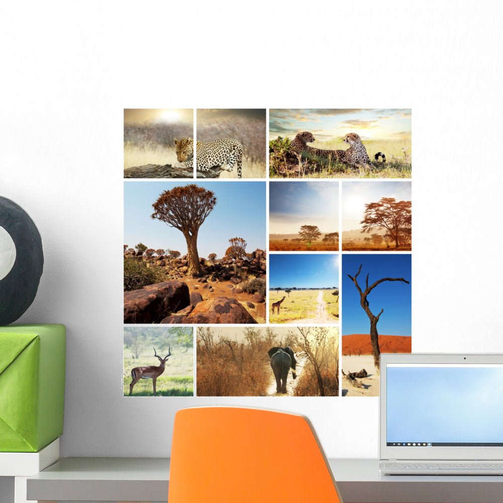 Safari Collage Wall Mural – Wallmonkeys