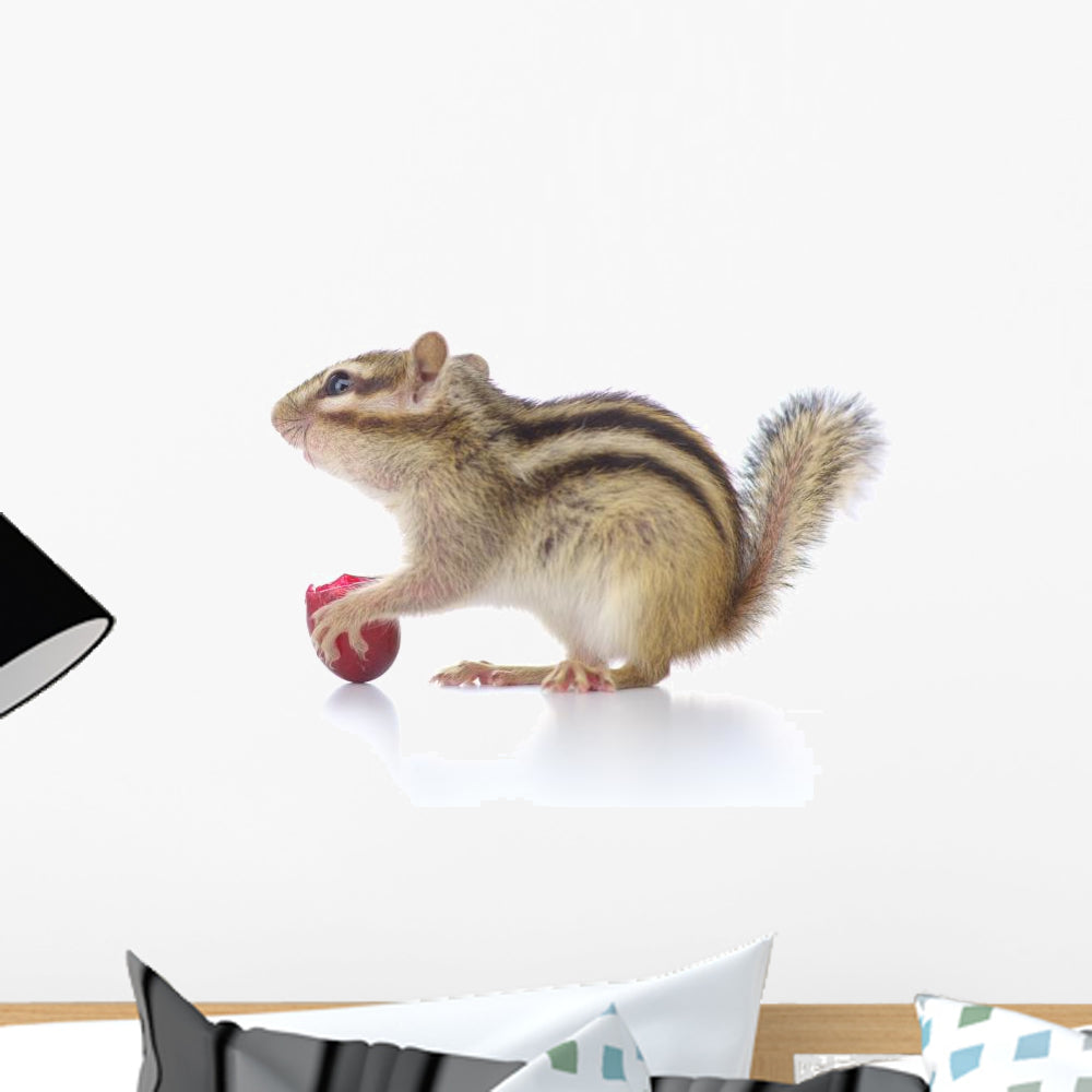 Chipmunk Eating Grapes Wall Decal - WallMonkeys.com – Wallmonkeys