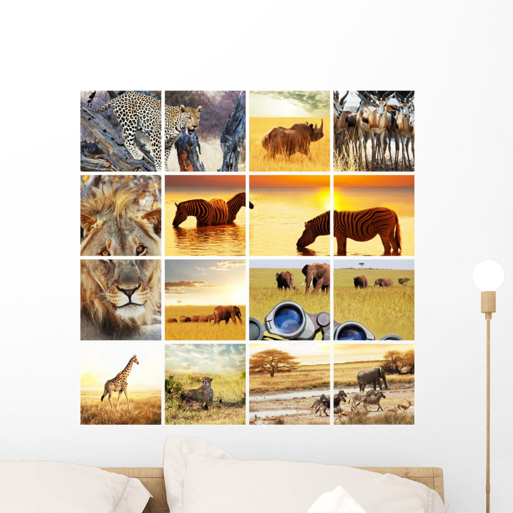 Safari Animal Collage 2 Wall Decal - WallMonkeys.com – Wallmonkeys