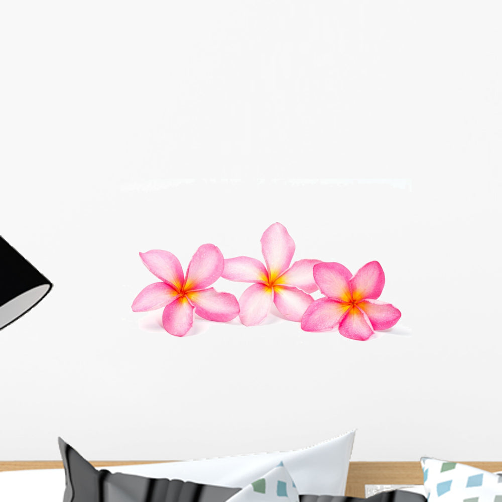 Frangipani Flowers Wall Decal - WallMonkeys.com – Wallmonkeys