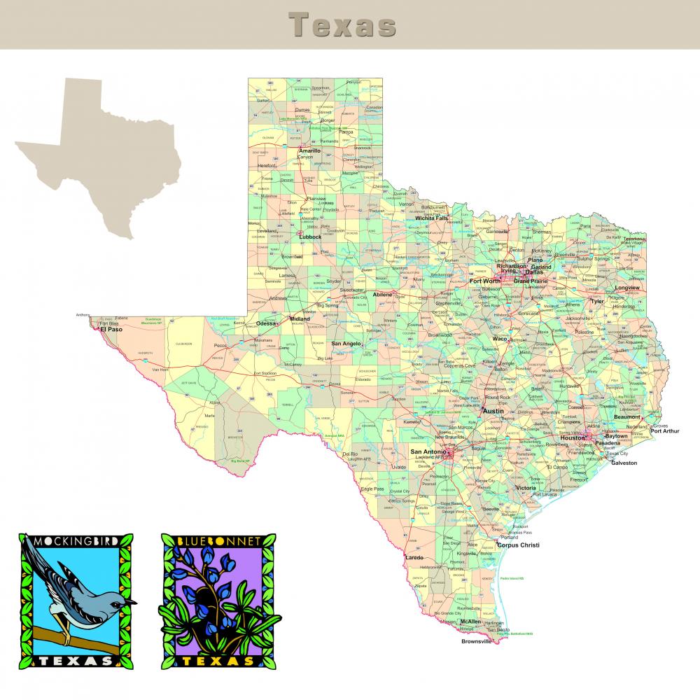 Texas Political Map Wall Decal - WallMonkeys.com – Wallmonkeys