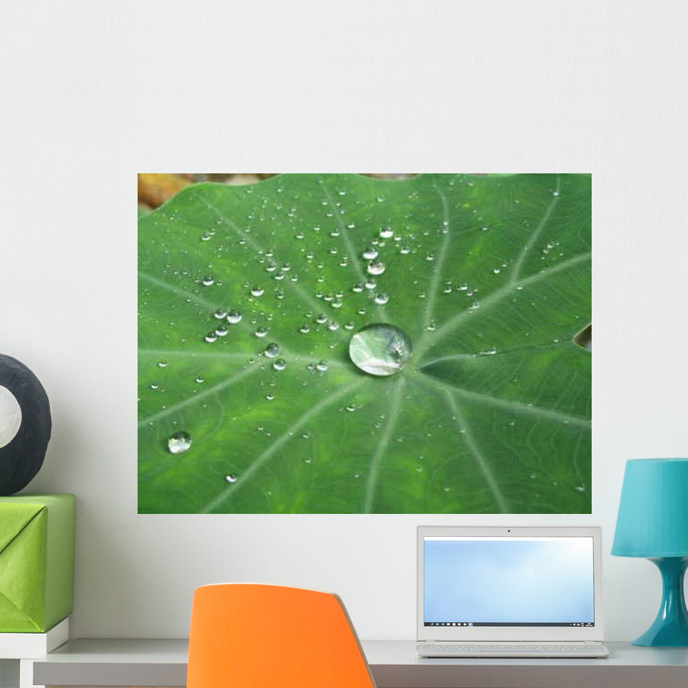 Big Waterdrop Surrounded Smaller Wall Decal - WallMonkeys.com – Wallmonkeys
