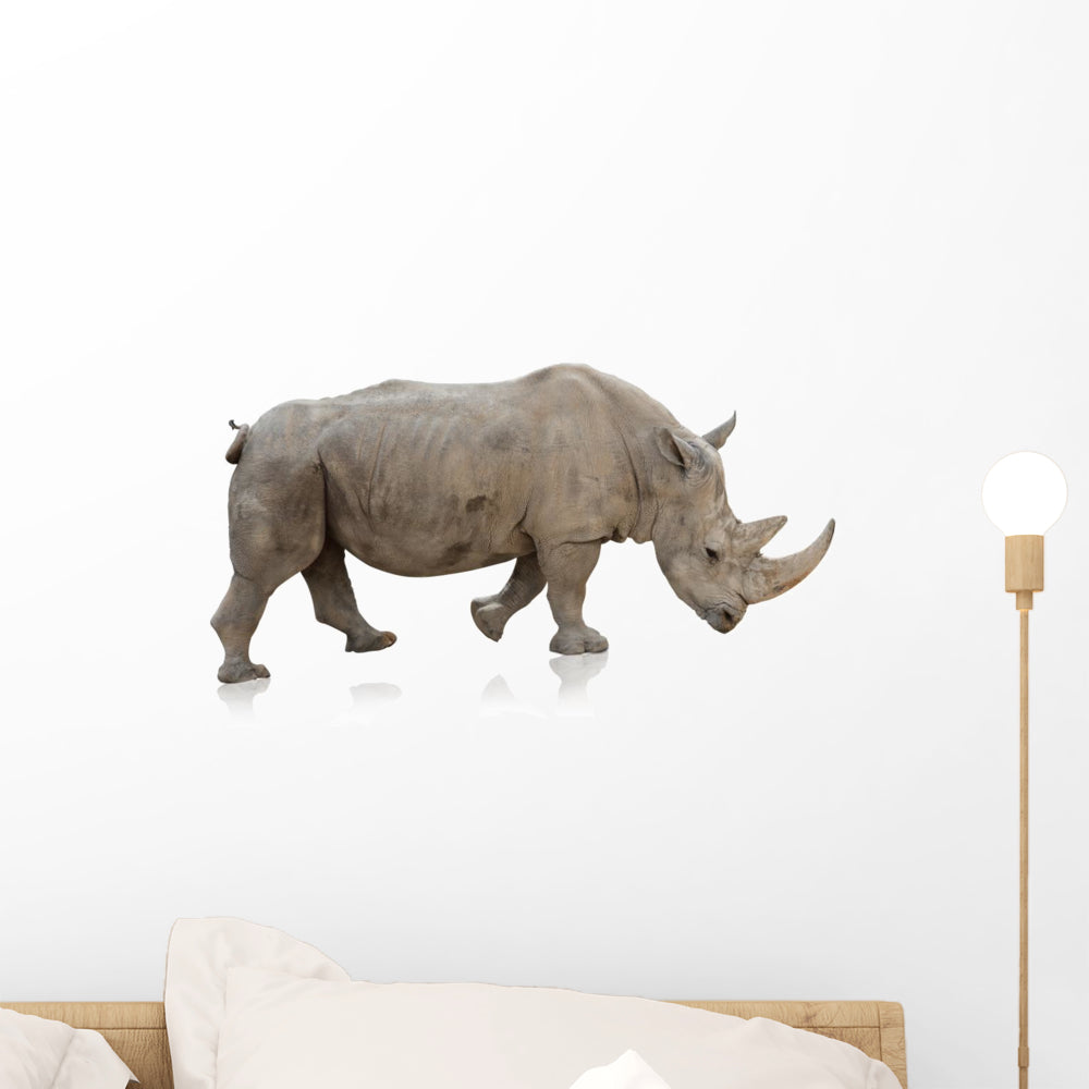 Potrait Rino Wall Decal – Wallmonkeys