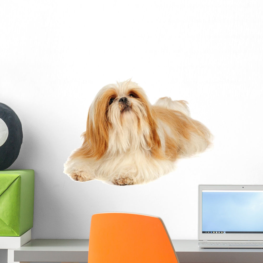 Shih Tzu Studio Wall Decal - WallMonkeys.com – Wallmonkeys