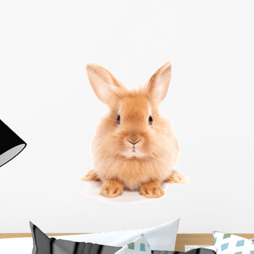 Fuzzy Rabbit Wall Decal - WallMonkeys.com – Wallmonkeys