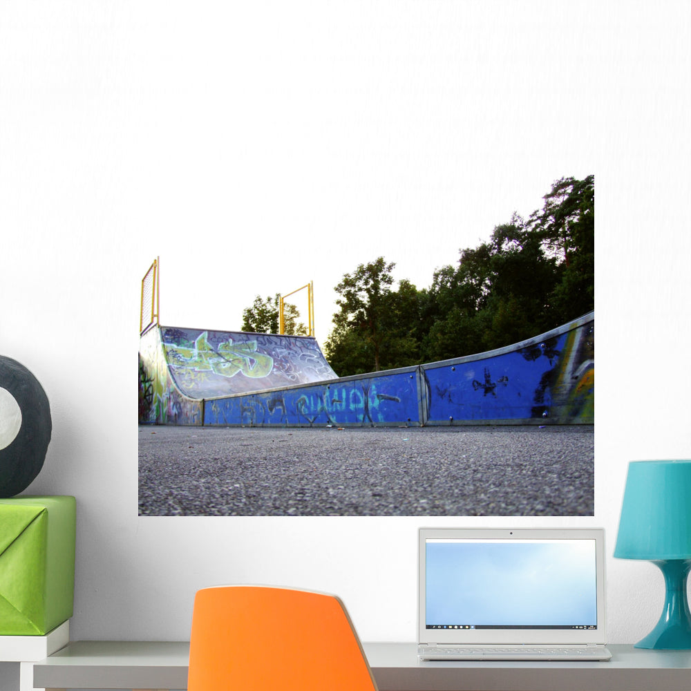 Skate Ramp 1 Wall Decal - WallMonkeys.com – Wallmonkeys