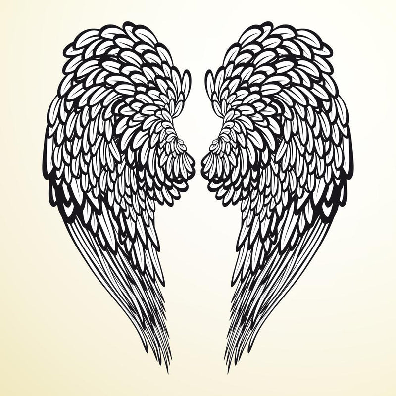 Fallen Angel Wings Sketch