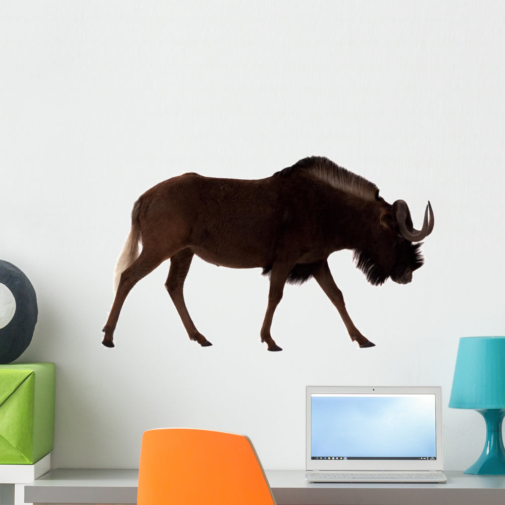 White-tailed Gnu over White Wall Decal - WallMonkeys.com – Wallmonkeys