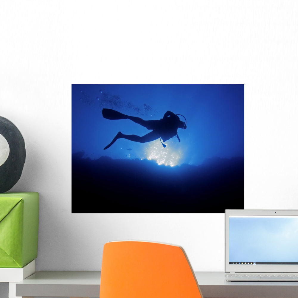 Scuba Diver from below Wall Mural – Wallmonkeys