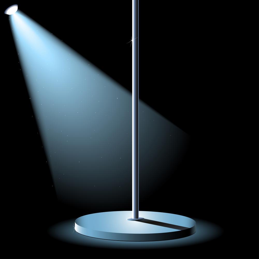 Pole Dance Stage – Wallmonkeys