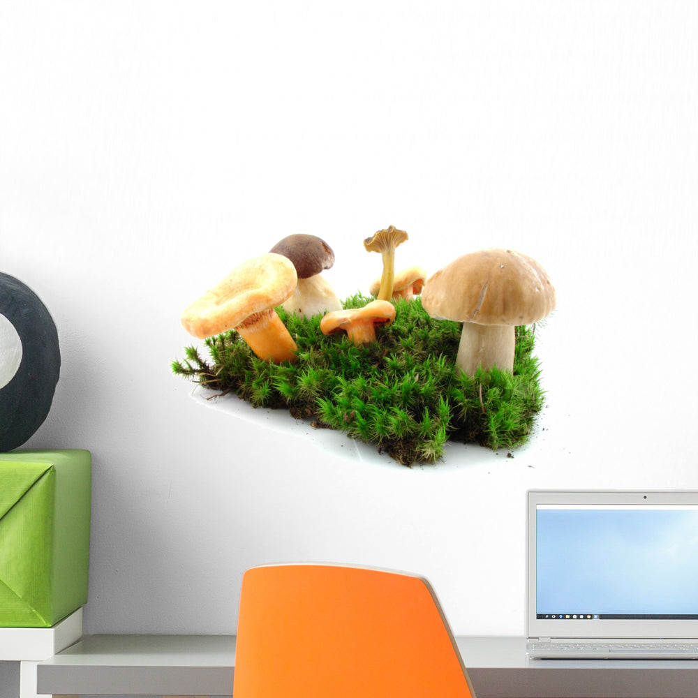 Fungi Wall Mural – Wallmonkeys