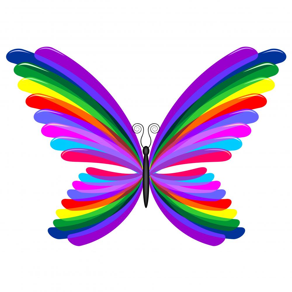 Butterfly Rainbow Abstract Wings Wall Decal – Wallmonkeys