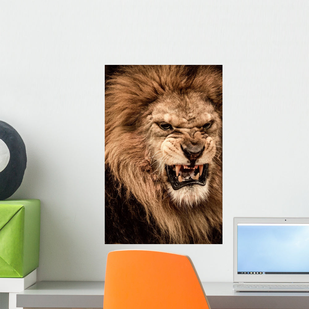 Close-up Shot Roaring Lion Wall Mural – Wallmonkeys